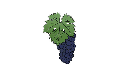 Poulsard – Amble Wine